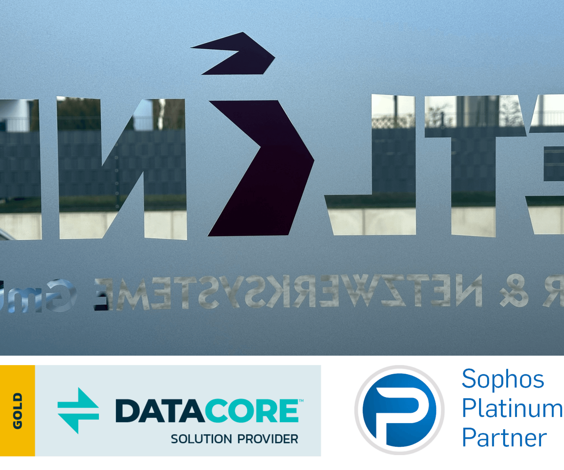 NETLINE Karriere – Karriere bei NETLINE